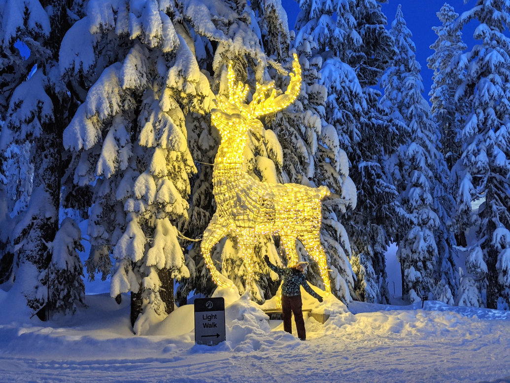 BCMC Trail - Grouse Mountain - A walk and a lark