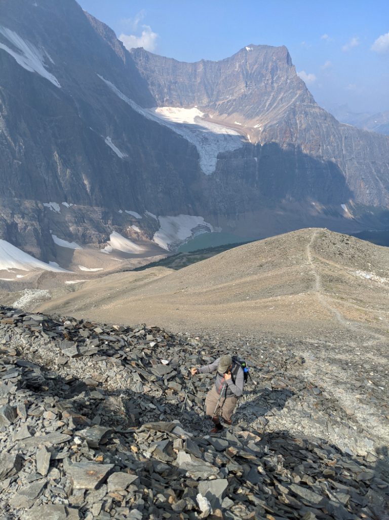 East Ridge Summit (via Cavell Meadows) - Jasper - A walk and a lark