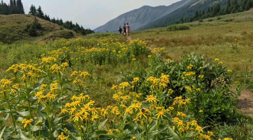 Opal Hills - Jasper Hikes - A walk and a lark
