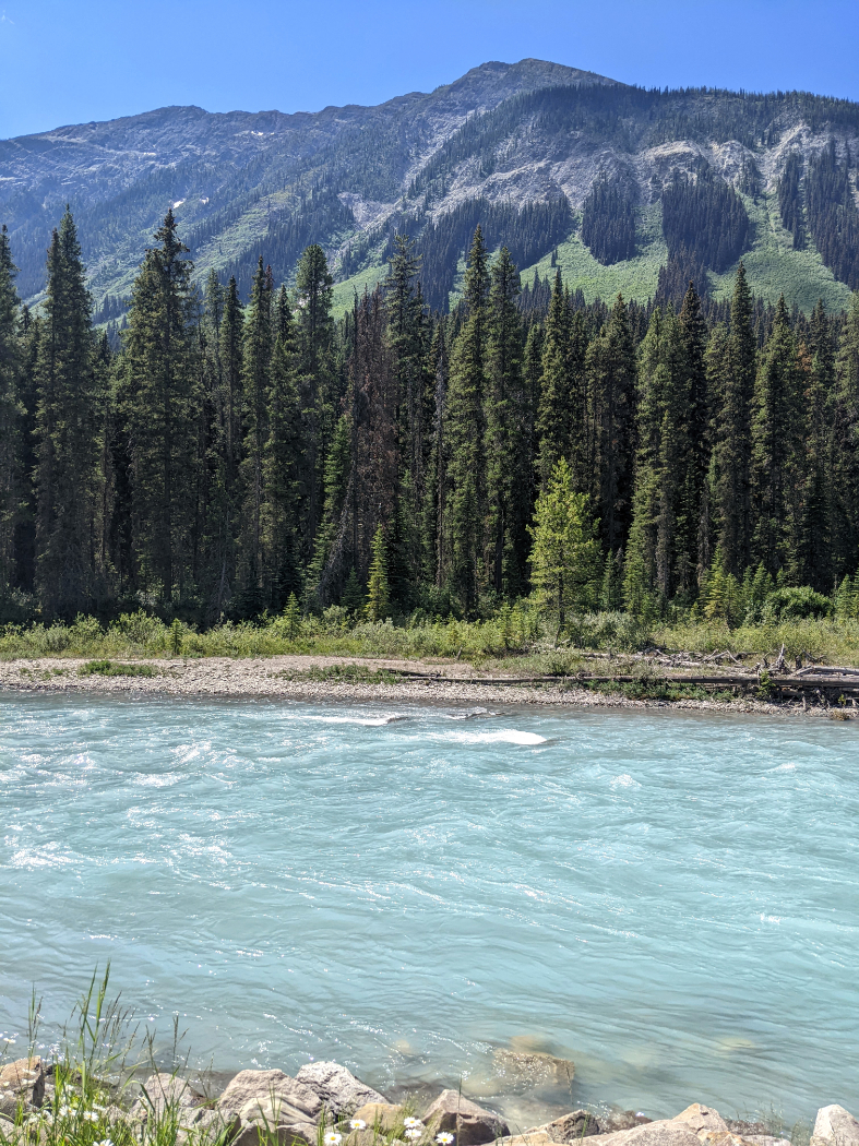 Numa Falls - Kootenay National Park - A walk and a lark