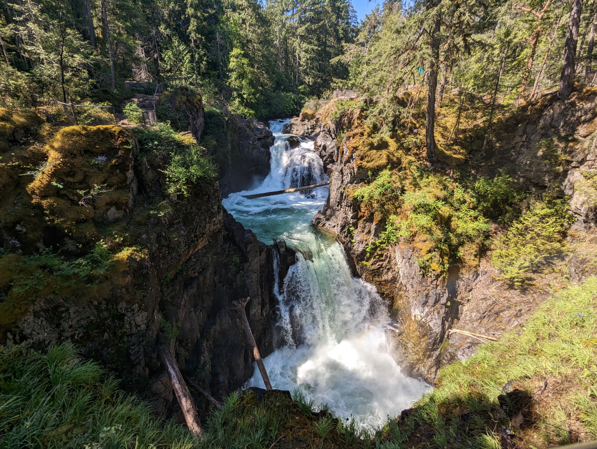 Little Qualicum Falls - Vancouver Island - A walk and a lark