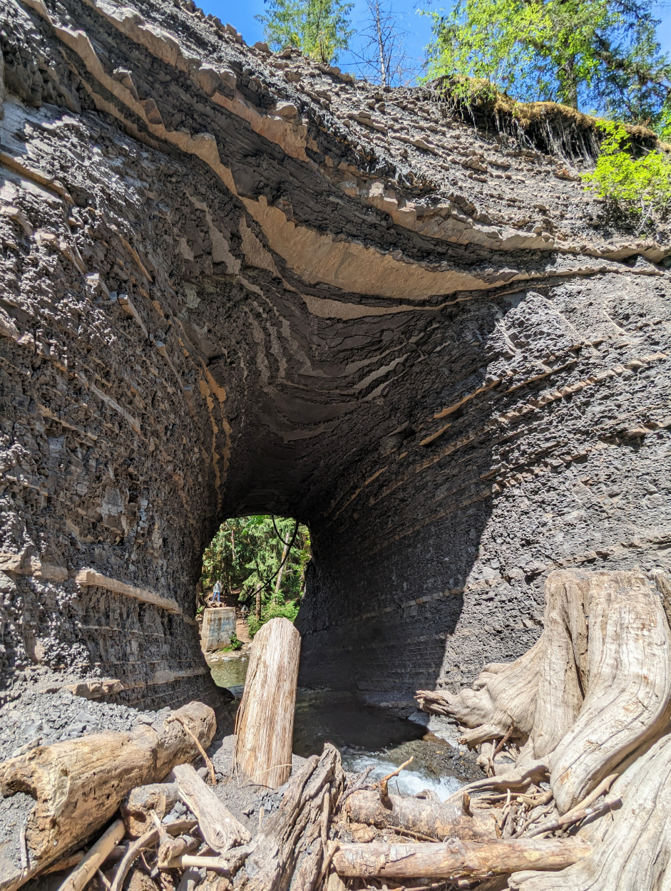 Hole in the wall - Vancouver Island - A walk and a lark