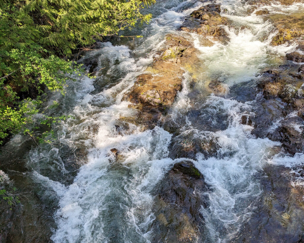 Little Qualicum Falls - Vancouver Island - A walk and a lark