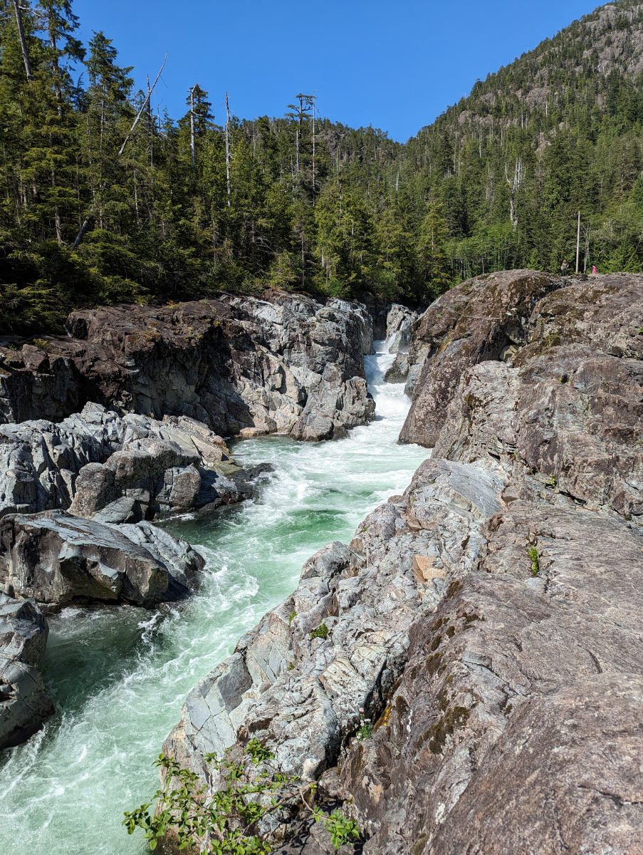 Wally Creek & Taylor River - A walk and a lark