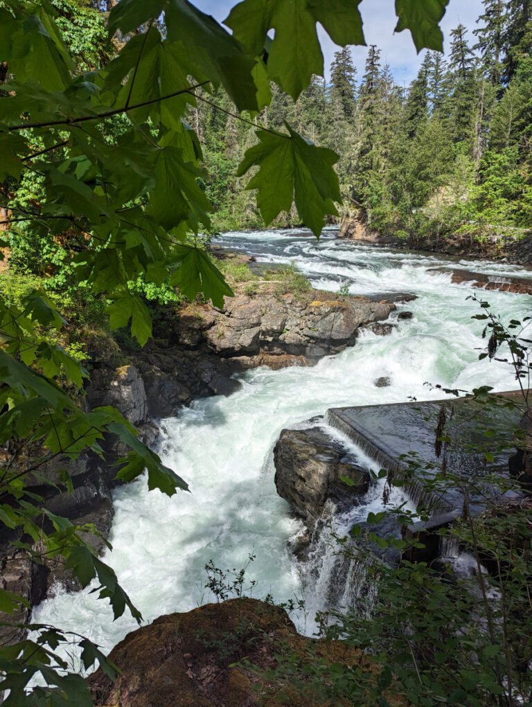 Stamp Falls & Stamp River Park - A walk and a lark