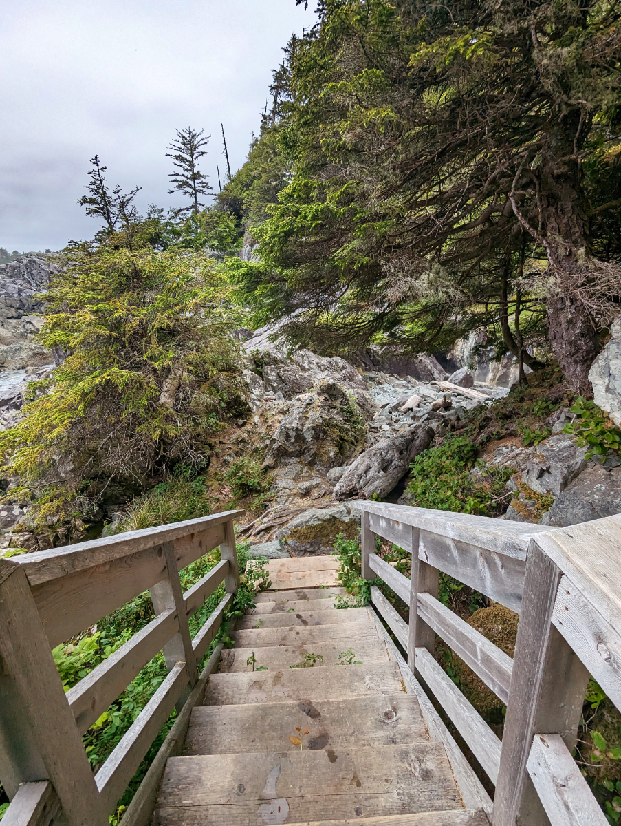 Hot Spring Cove - Tofino - A walk and a lark