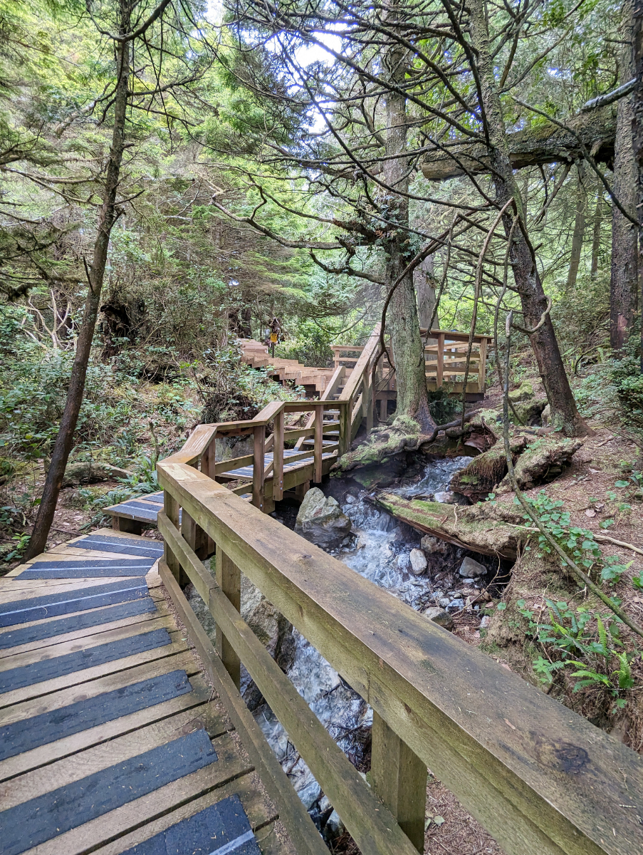 Hot Spring Cove - Tofino - A walk and a lark
