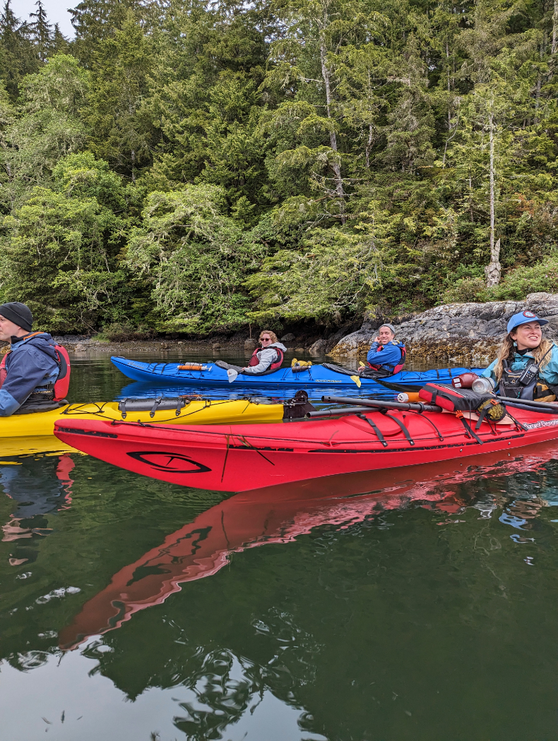 Paddle West Kayaking - Meares Island - A walk and a lark