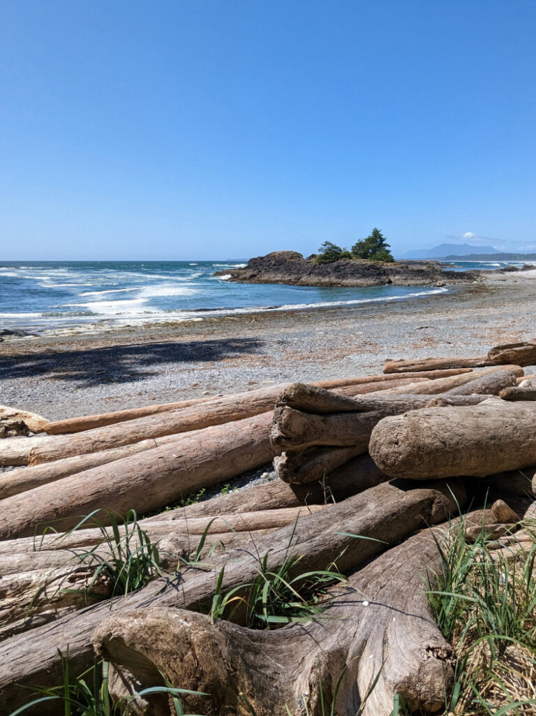 Shorepine Bog trail & Wickaninnish Beach - A walk and a lark