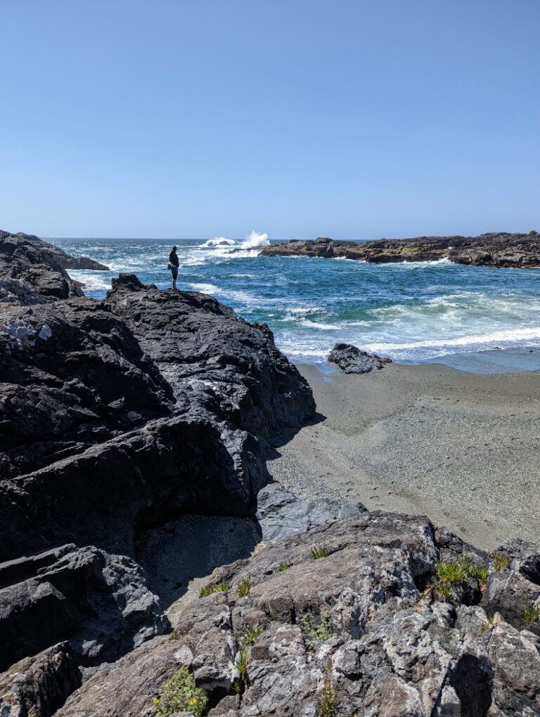 Shorepine Bog trail & Wickaninnish Beach - A walk and a lark