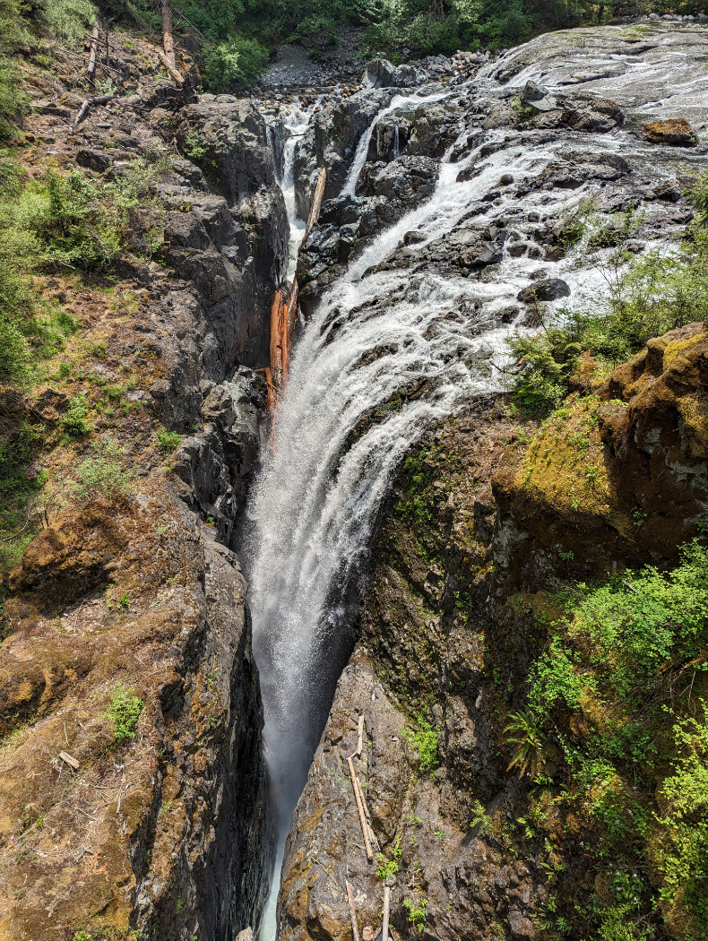 Elk Falls - Campbell River - A walk and a lark