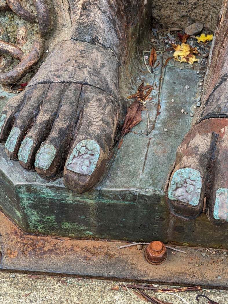 Tofino - Guide for Newbies - A walk and a lark